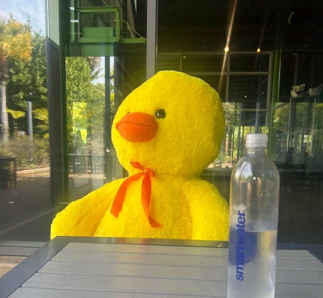 What I Wish I Knew Before I Won a Duck Plushie the Size of a 10-Year ...