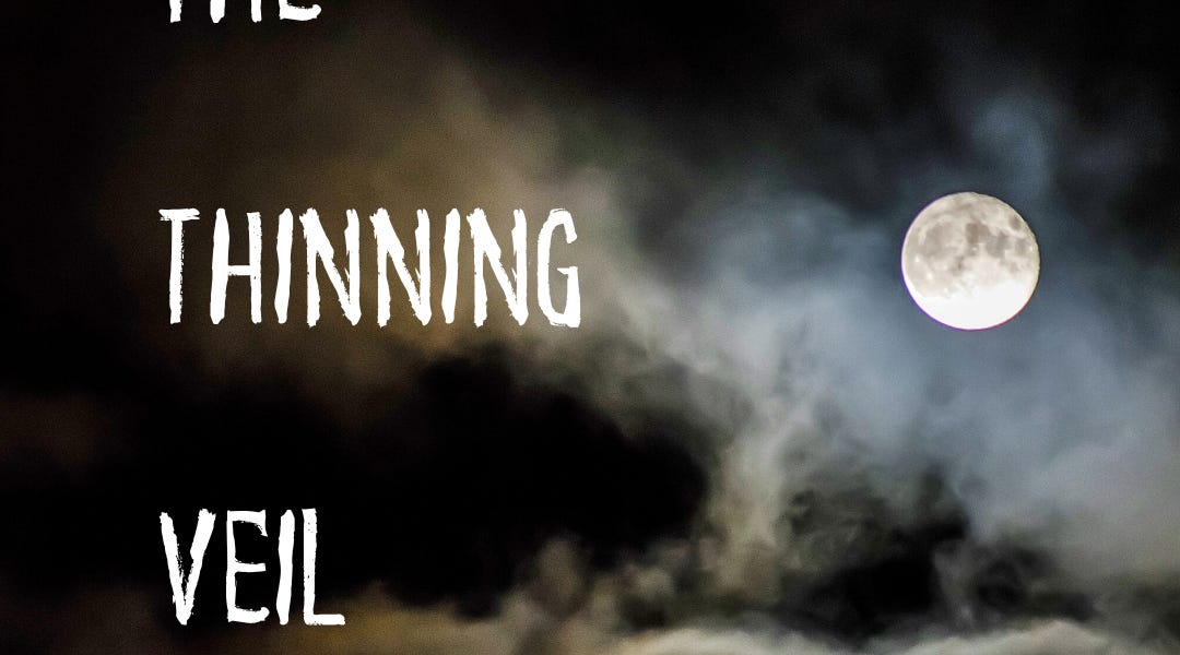 THE THINNING VEIL - by Binyamina Aisha