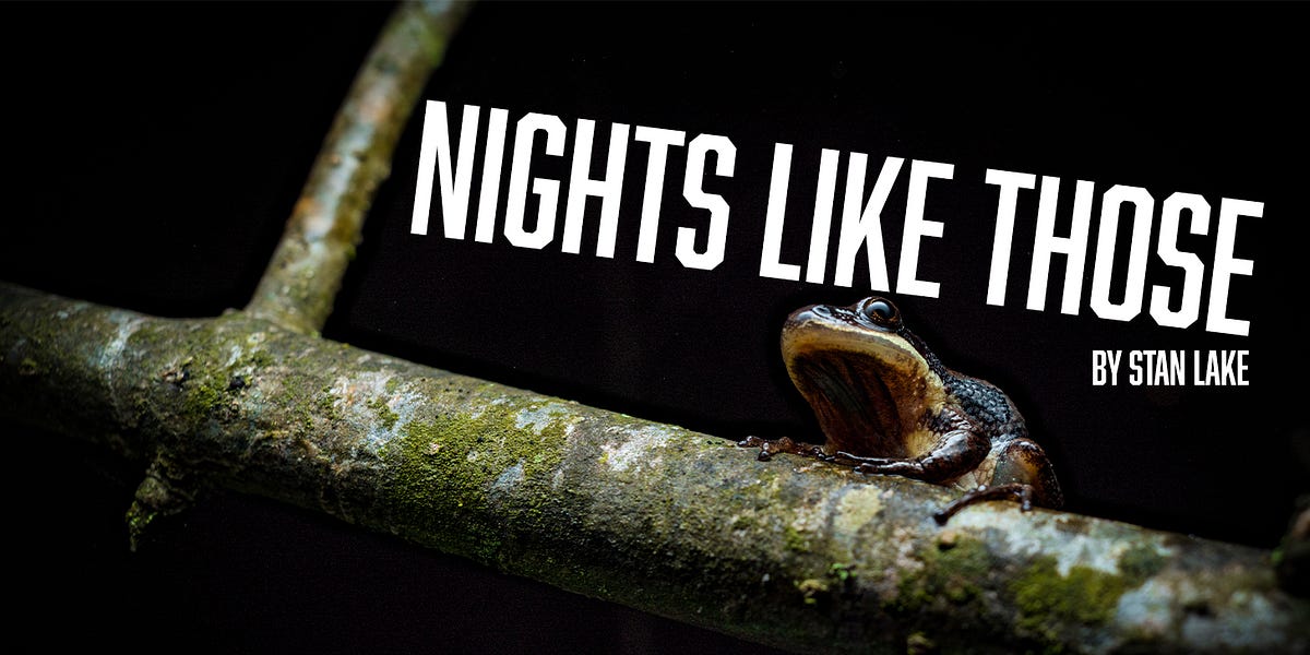 Nights Like Those - by Stan Lake - Dissonance Personified