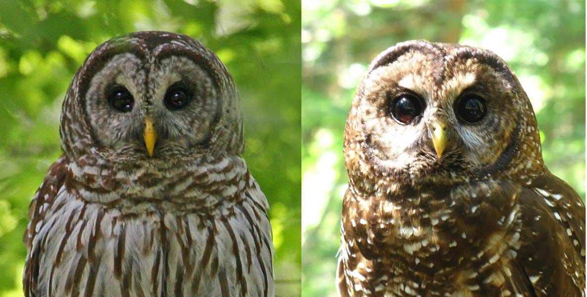 On Control and Participation - by Markael Luterra