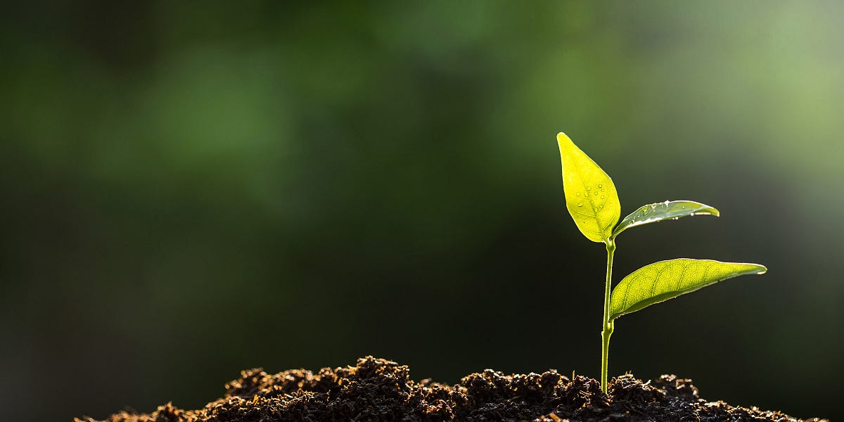 Change is the only constant - by Joy Savage - fusings