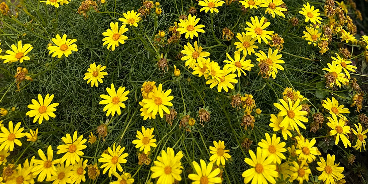 How To Make It Work - Decadence with Tanna Key