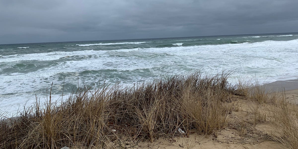 My January Class + Talking Heads - by Martha Nichols