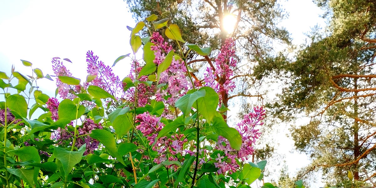 Boundaries - by Susannah Cragwick - Writings by Susannah