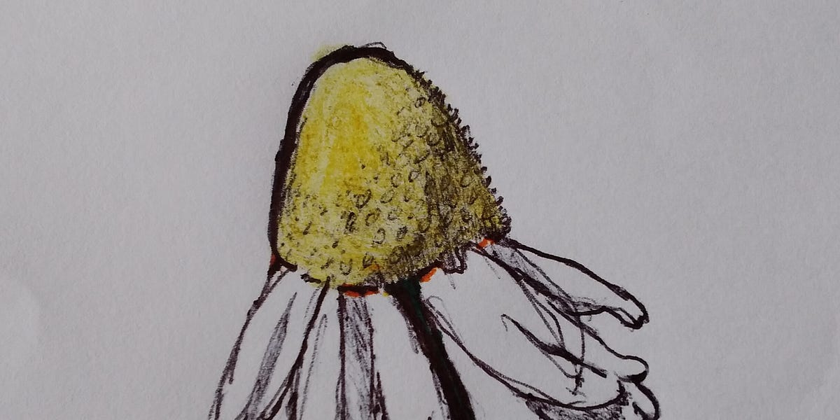 The Cover Of The Book - by Marc Safon - Marc’s Substack