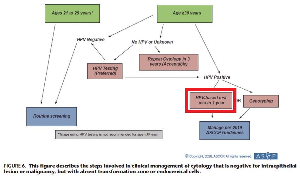 HPV Follow-Up [Cervical Cancer] - by Med Mal Reviewer