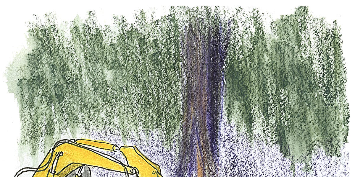 Saving Luma - by Tina Koyama - On the Spot