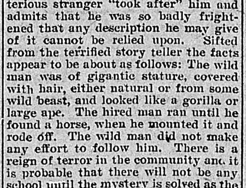 Wild Man Seen Again - by Odd Old News - Odd’s Substack