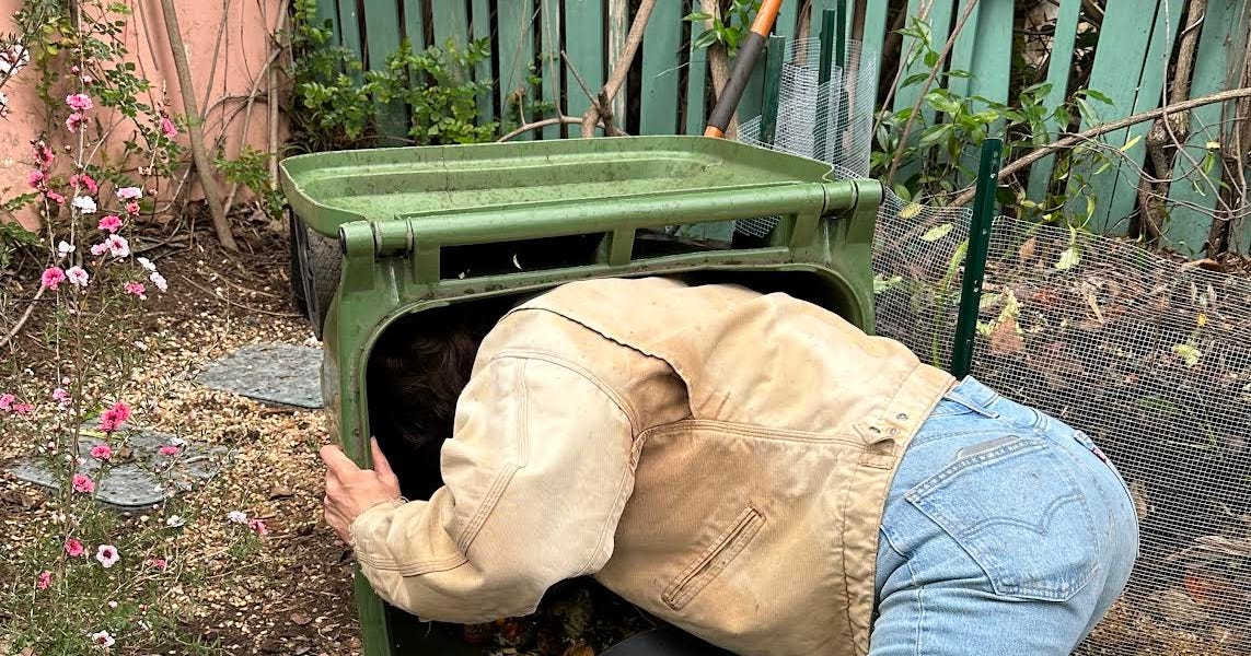 Building a three bin compost system - by cass marketos