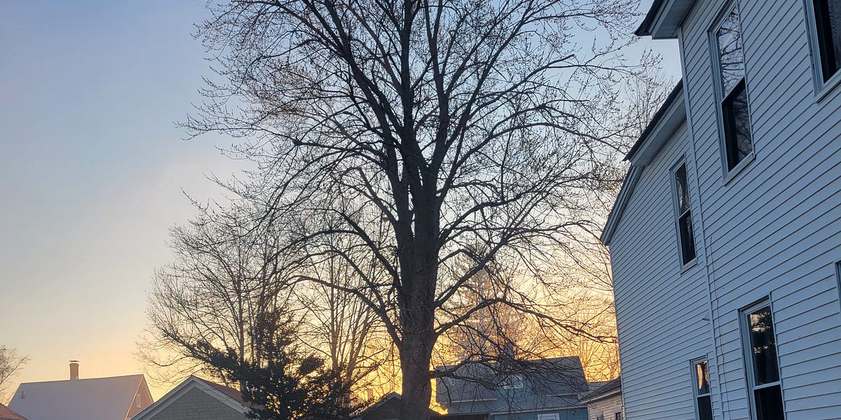 The State I’m In: 'Spring Forward' - by David M. Poff