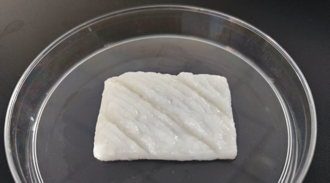 Chinese scientists create tissue-like cultured fish fillets using 3D ...