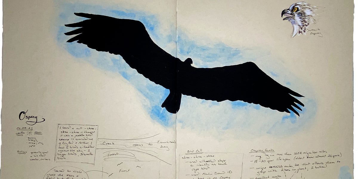 A Natural Alignment - by Susannah Fisher