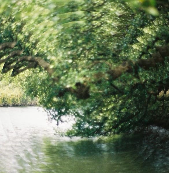 Haloing Taiwan - by maggie - ostranenie