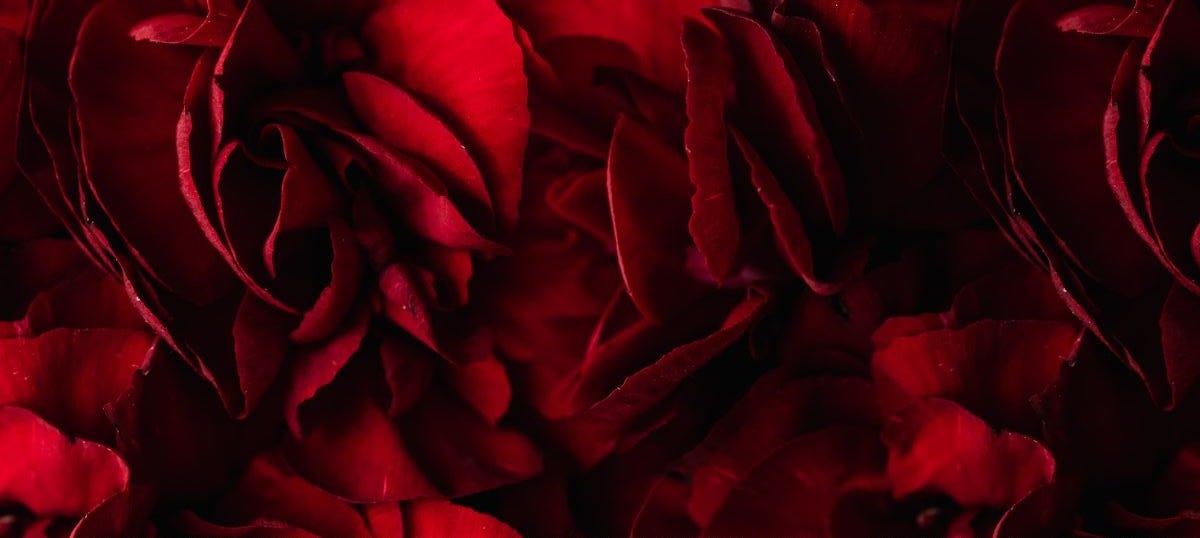 Hallo, Herz! - by Ina Hemmelmann - water is wise