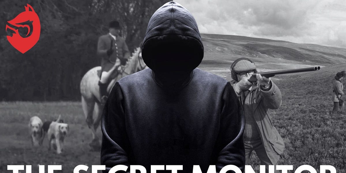The Secret Monitor: Stag hunting not cruel enough?