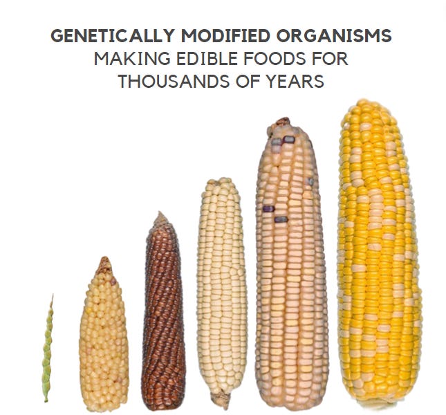 GMOs and genetic engineering are wildly misunderstood