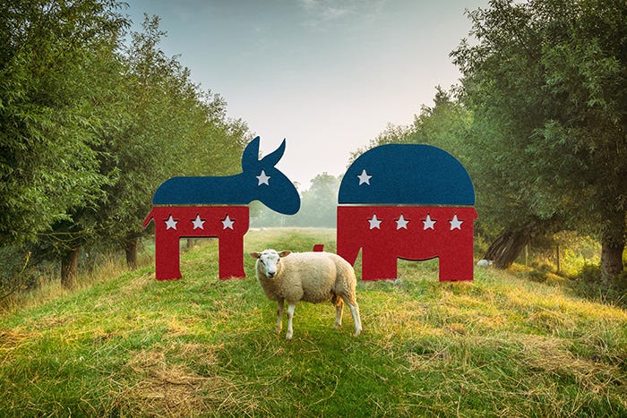 Why There Can Never Be a Christian Political Party