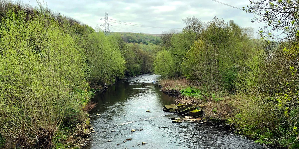 River Rangers & Kick Sampling : Sun 9th July