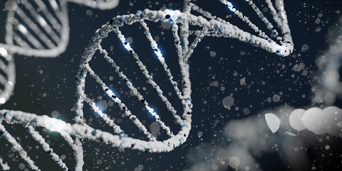 🚀 Levels - by Arion Osdautaj - Arion’s Substack