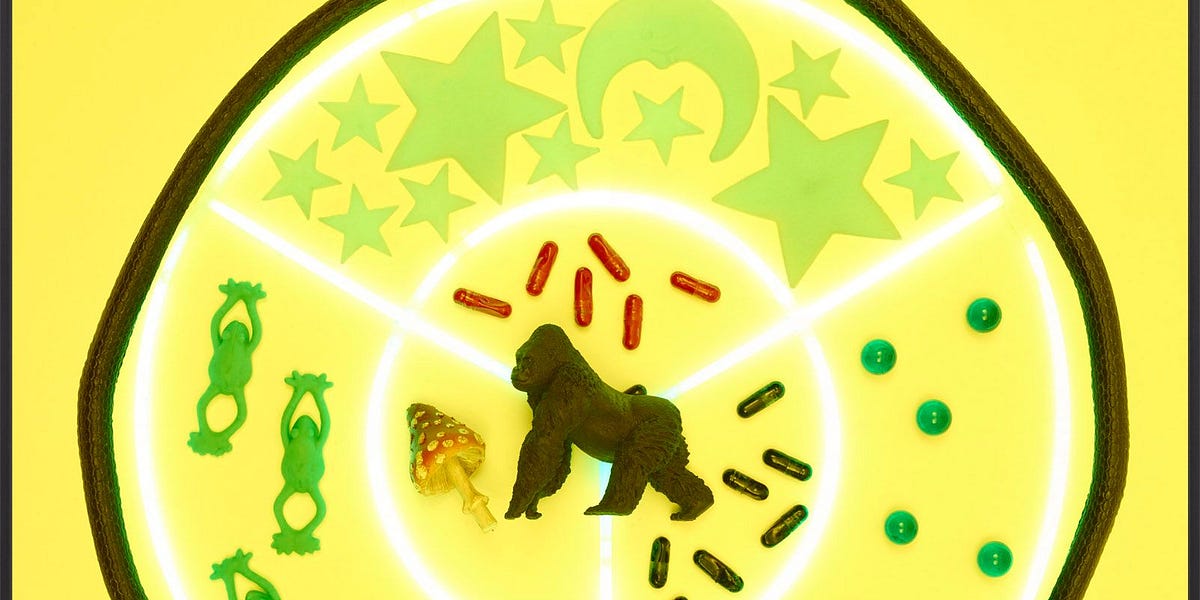 Max Dauven: Esoteric Memes - Do Not Research