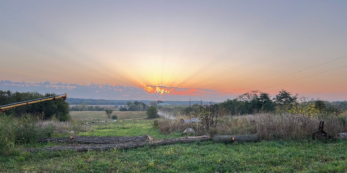 Why Get Up Early? - by Beth Hoffman - In the Dirt