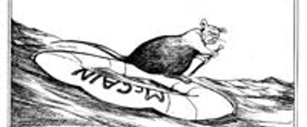 HEY EVERYONE IT'S ALMOST OVER LET'S LOOK AT CARTOONS