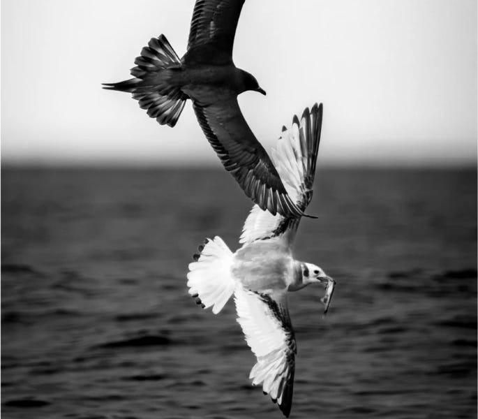 Table of Enhancements. - by John Ellis - News Items