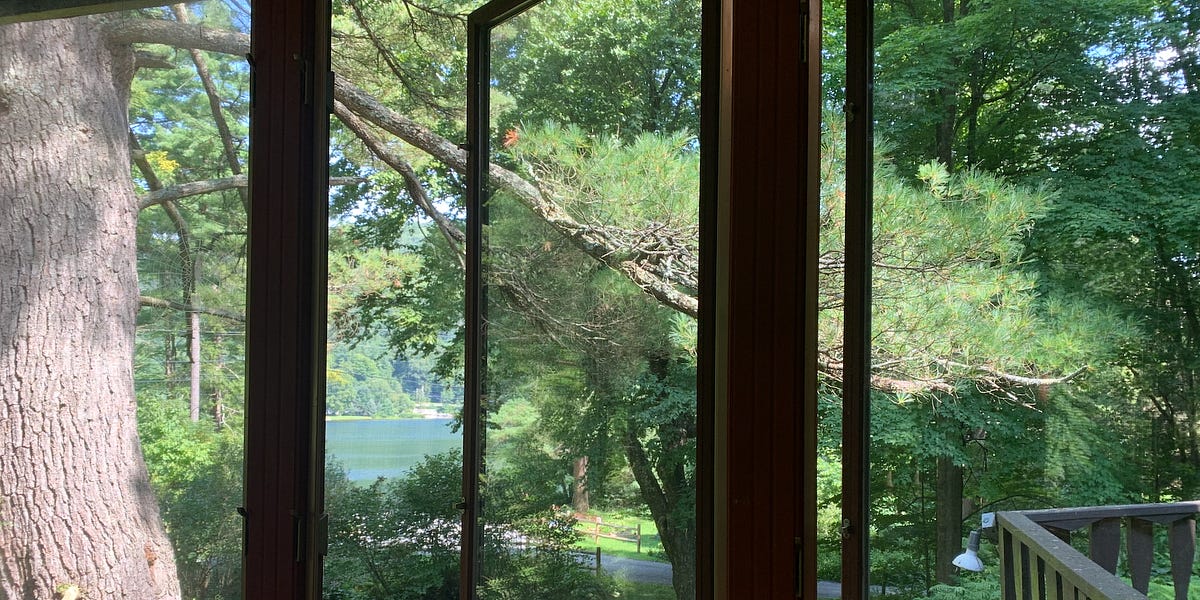 The "Adult Gap Year" - by Emily J. Smith - Unresolving