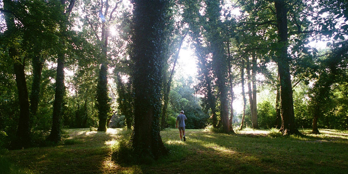 Following the signs - by Annabel Vickers