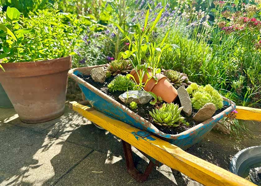 Why Are Farmers Adding Rocks to Their Fields?