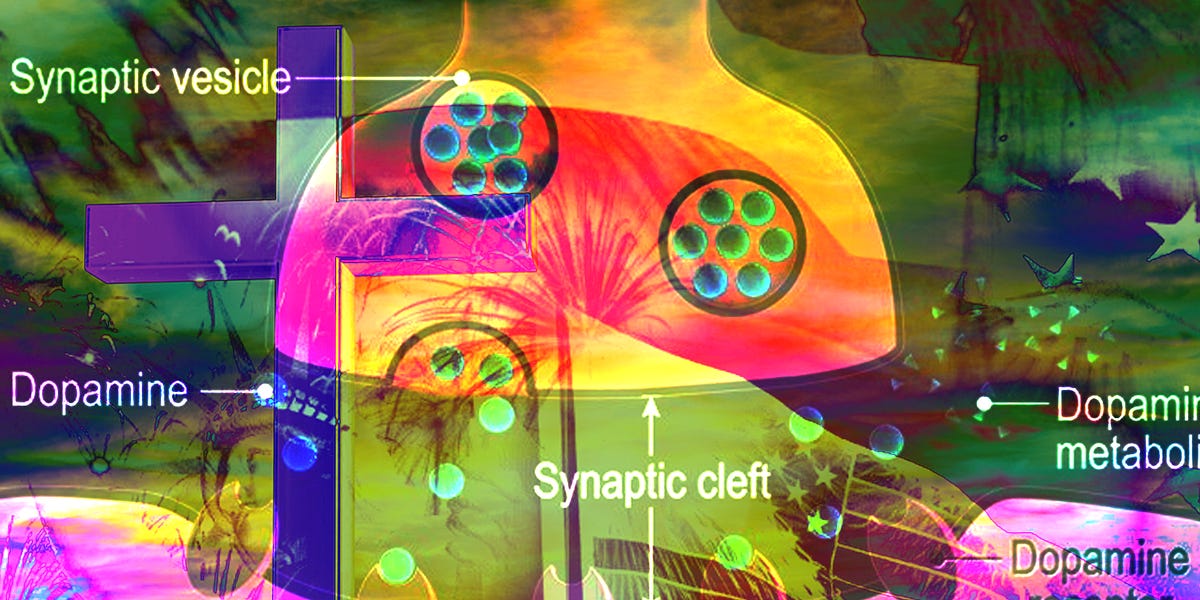 The Myth-Making of Dopamine Nation - by Jesse Meadows