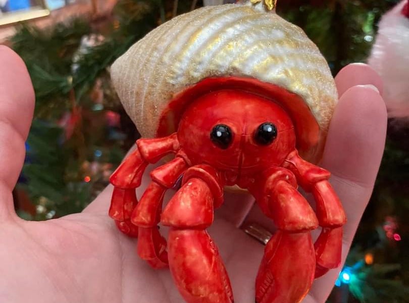 Tacky Tree Part 2 - by Eleanor Vader - Eleanor’s Substack