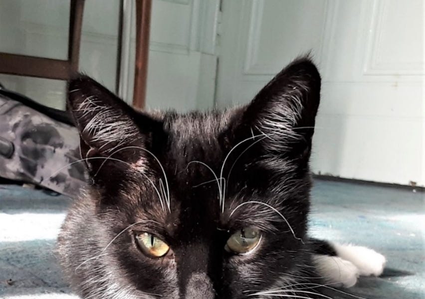 11/1 ALL HALLOWS MASS FOR THE PASSED... - Xanaduum