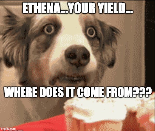An Honest Review of Ethena - by Noam Levenson