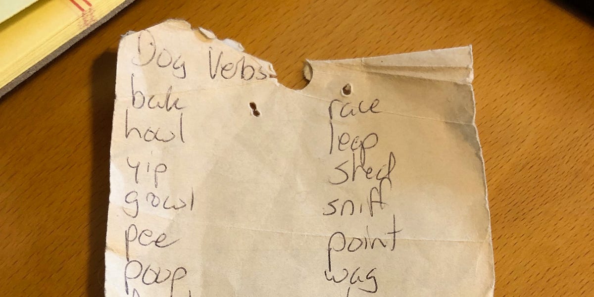 Dog verbs - The Writing Shed with Tommy Tomlinson