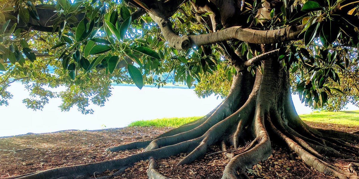 The Surprising Benefits of Grounding Yourself to Earth for Better Health