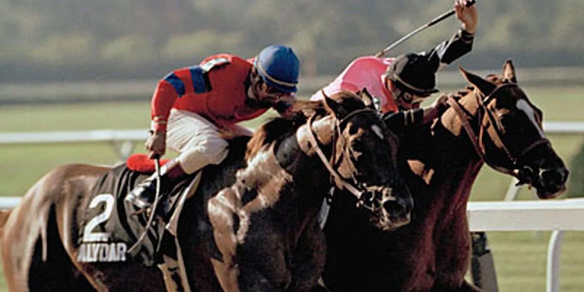 Alydar, Accident or Murder? - Rmag