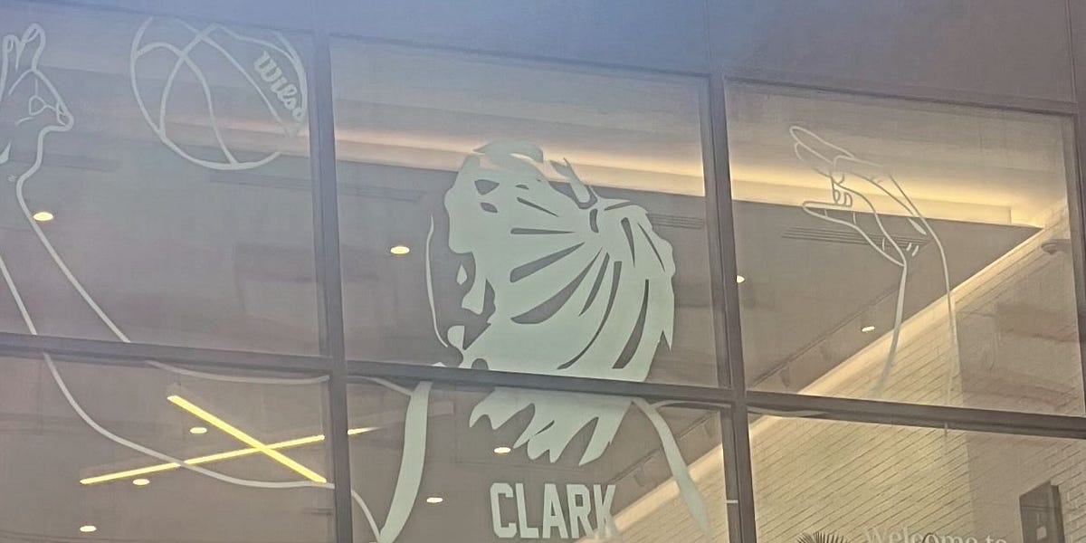 Caitlin Clark spotlighted on Wilson's Chicago store