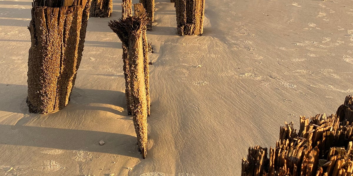 Disappearing Acts - by Hanne Blank Boyd