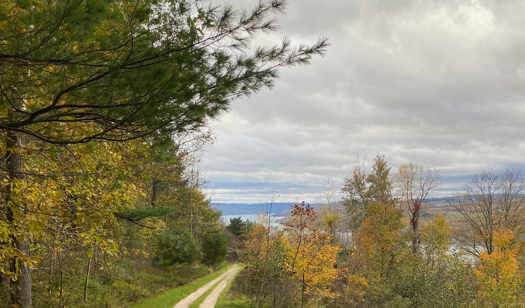 A Big Plan for This Spring - by Lucas Moore - Monadnock