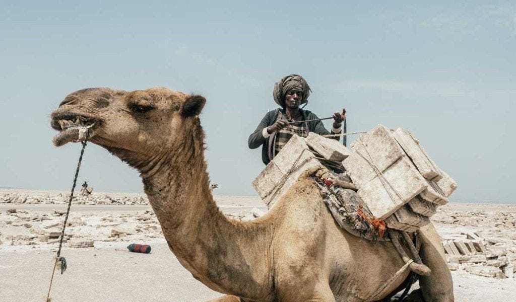 The Ancient Salt Trade of West Africa - by Dishant Shah