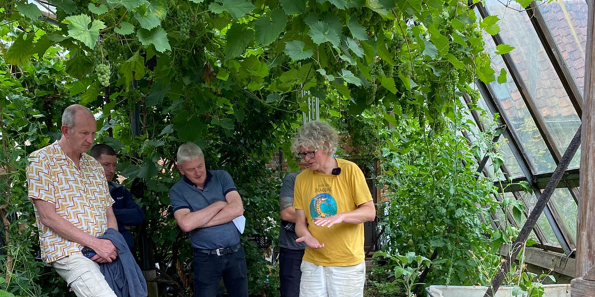 DIY Courses - Organic Pools by David Pagan Butler