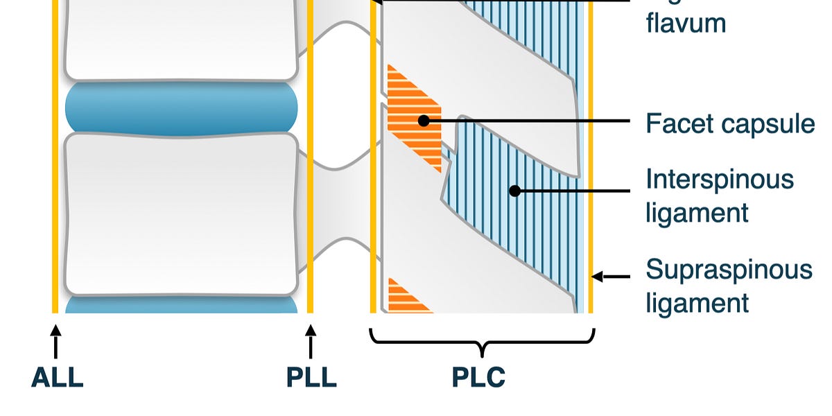 Cervical Spine Hyperflexion Injuries - by Alexander Baxter