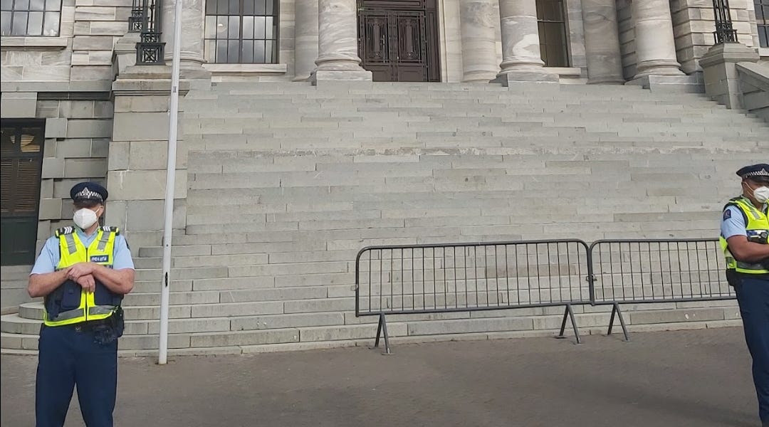 Entering politics - by Corina Shields - Corina’s Substack