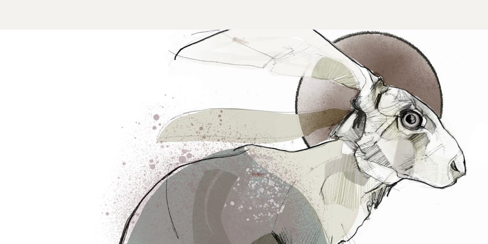 Is It Too Early? - Mrs Bertimus' Substack