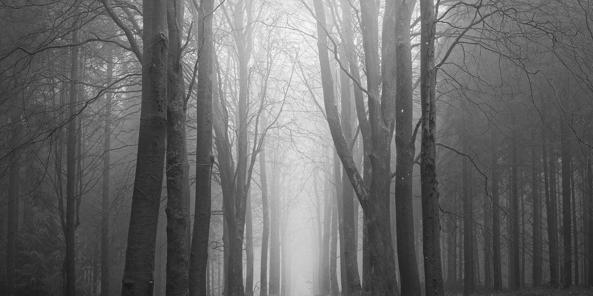 Comments - Sanctuary - by Michael Beecham - Quieter Spaces