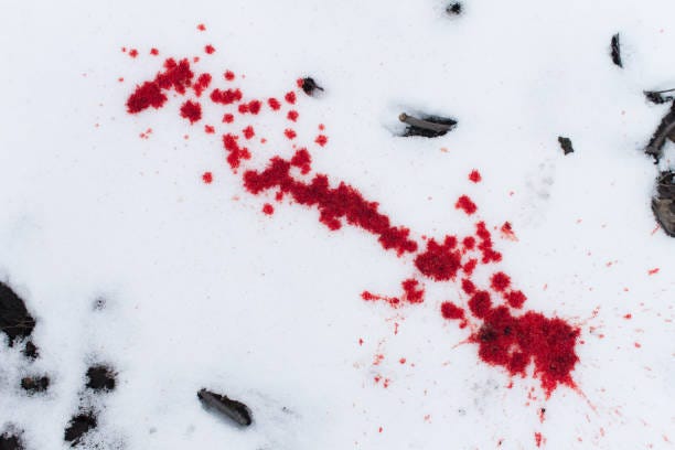 Chapter 1 - Where Snow Meets Blood - by Jonathan Murray