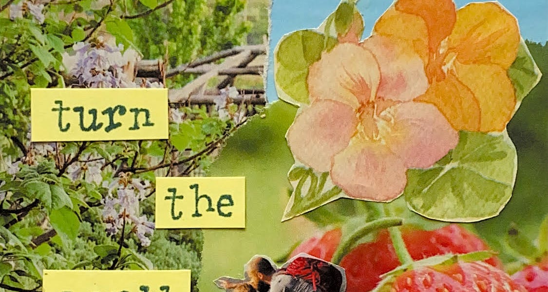 EPISODE: Turn the Earth with K Weber - by Cara