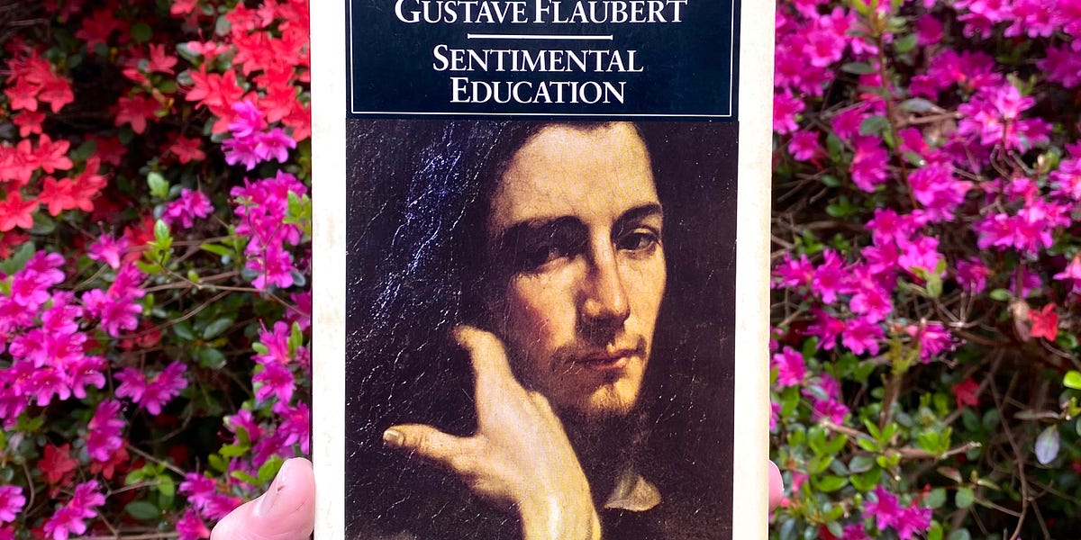Sentimental Education by Gustave Flaubert - by Nick Jensen