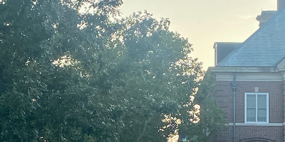 Juan David’s Newsletter - August 21th, 2023